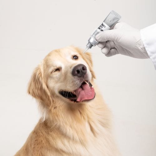 貓眼藥水・狗眼藥水｜Yourvet Medi Eye Drops | Babble Pet