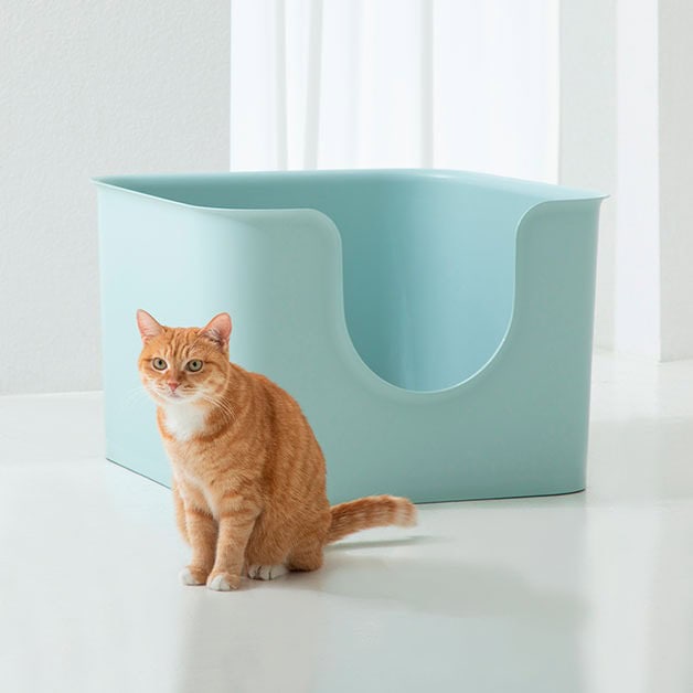 Duit Poo Poo Box Cube 貓便便盒立方體 - Babble Pet